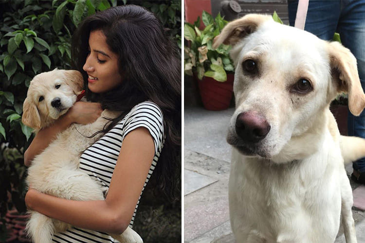 Delhi’s First Doggie Bazaar For Adopted Pups Is Happening