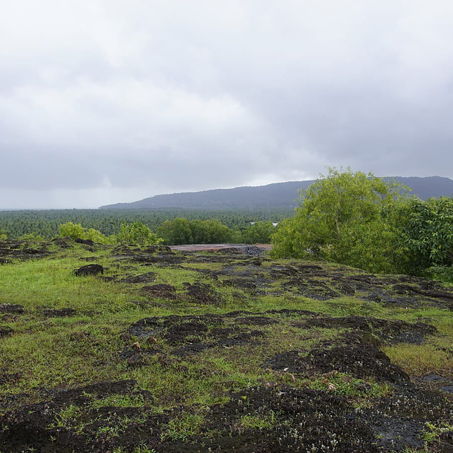 Go On A Trail At Madayipara | LBB