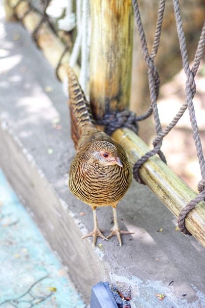 Essel World Bird Park - A Must Visit | LBB