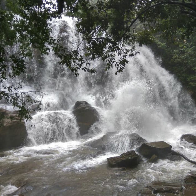 Head To Sirimane Falls For Scenic Views | LBB, Bangalore