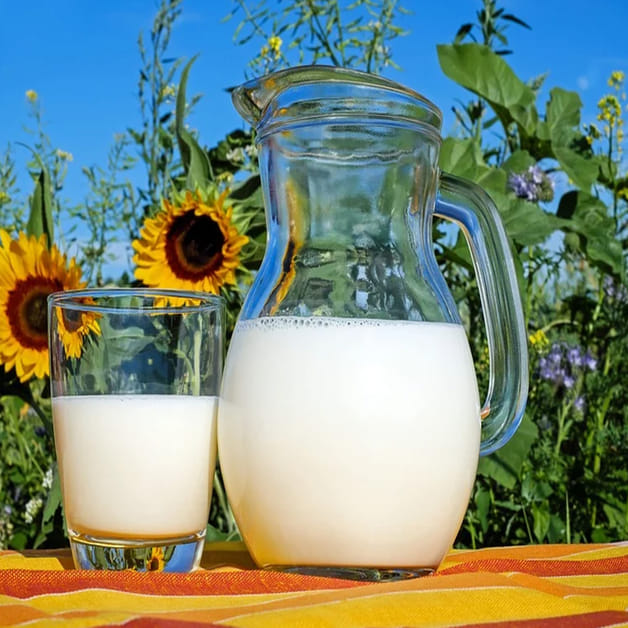 Cowboys - Pure Cow Milk by Trunks and Roots | LBB