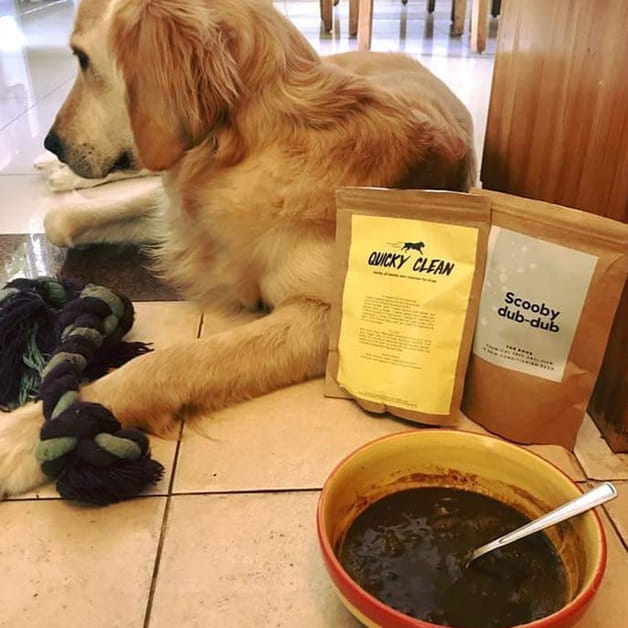 Buy Scooby Dub Dub Dogs' Products For Ticks Online | LBB