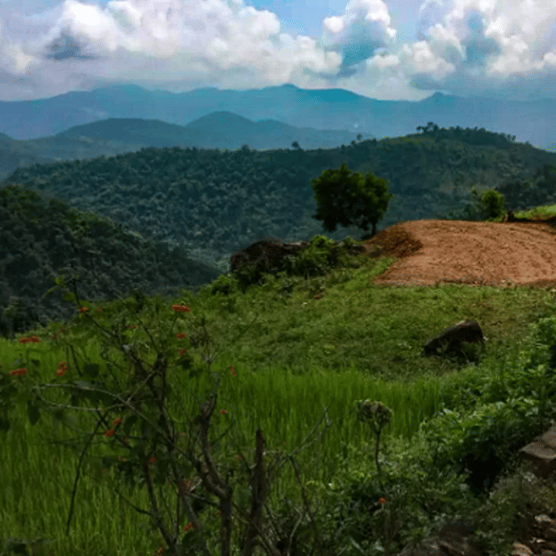 Book A Stay At Camp Fever In Araku | LBB, Hyderabad