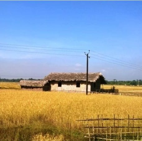 Tai Phake Eco Tourism Camp | LBB