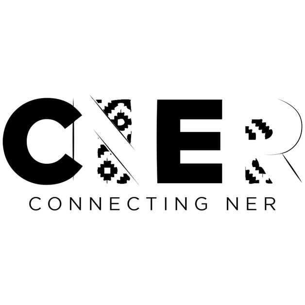 Connecting NER