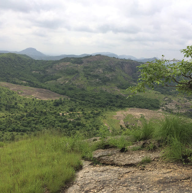 Handi Gundi Betta | LBB