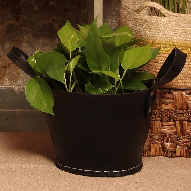 Order Unbreakable Pots & Planters For Your Garden | LBB