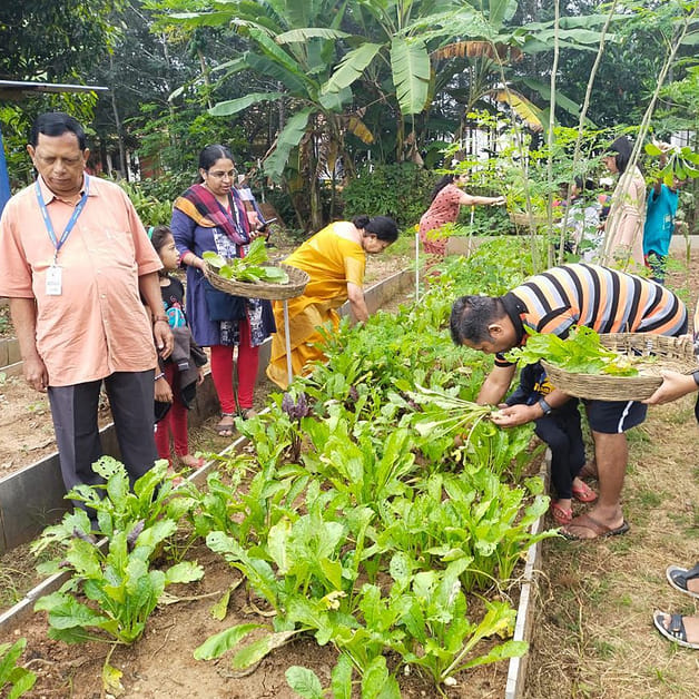 Do A Farm Visit At Akshayakalpa Farm In Tiptur | LBB, Bangalore
