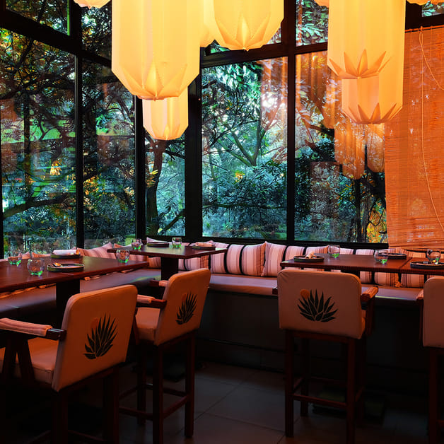 Visit Juju Bar For The Best Tacos & Tequila | LBB, Pune