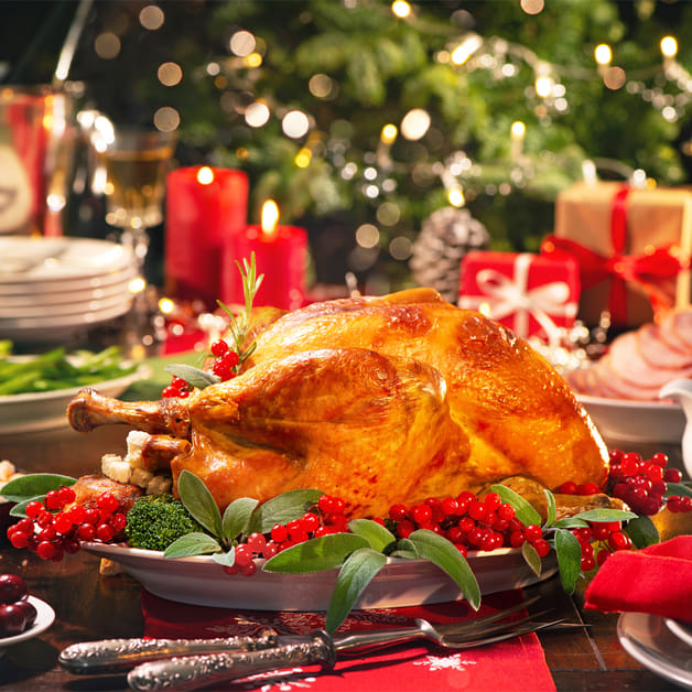 Explore Winter Season’s Culinary Magic Unleashed With USA Poultry!