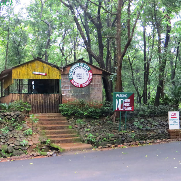 A One Day Trip Itinerary To Bondla Wildlife Sanctuary | LBB, Goa