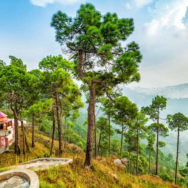 14 Sightseeing Places In Almora For An Unforgettable Trip | LBB