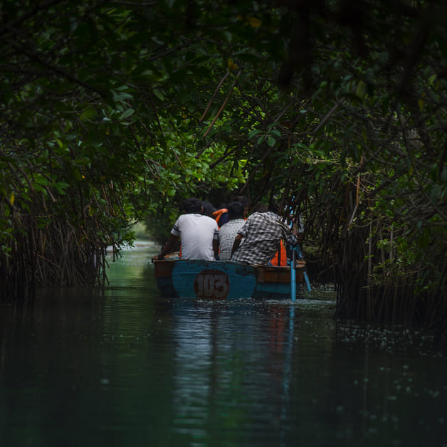 Pichavaram Travel Guide: Everything You Need To Know Before Visiting
