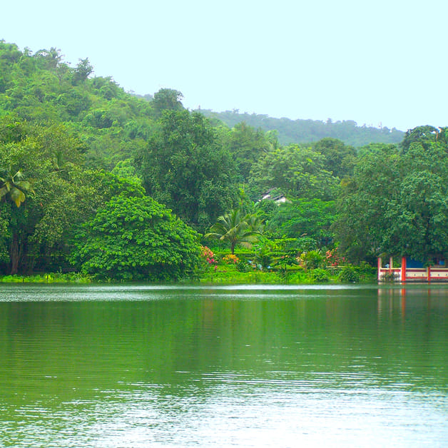 The Ultimate Guide To Goa's Mayem Lake in Bicholim 2024 | LBB