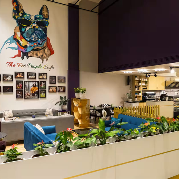 Best Cafes In HSR Layout: Explore Perfect Spots For Coffee | LBB